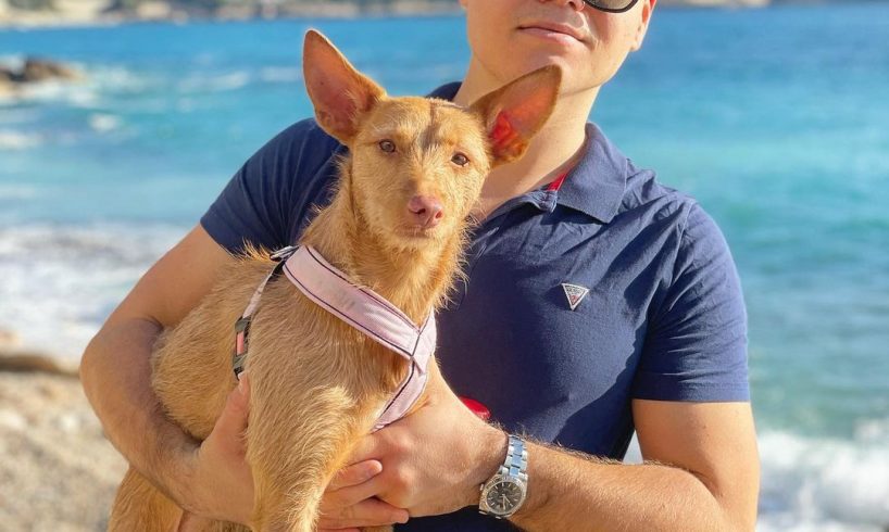 Jelly YouTuber | Biography, age, net worth, girlfriend, income